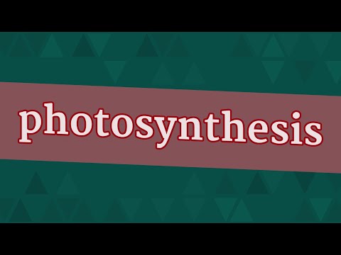 PHOTOSYNTHESIS pronunciation • How to pronounce PHOTOSYNTHESIS