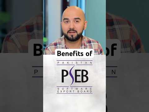 What is PSEB? Benefits for Freelancers and Tech Companies | Pakistan Software Export Board