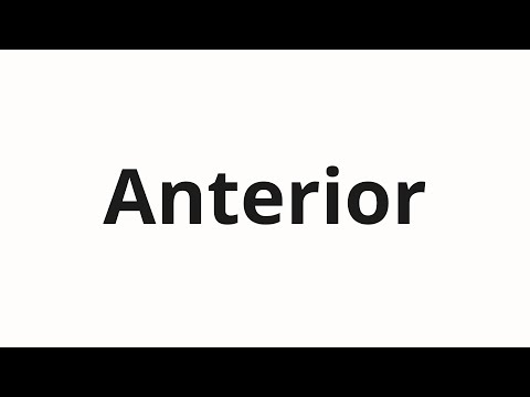 How to pronounce Anterior