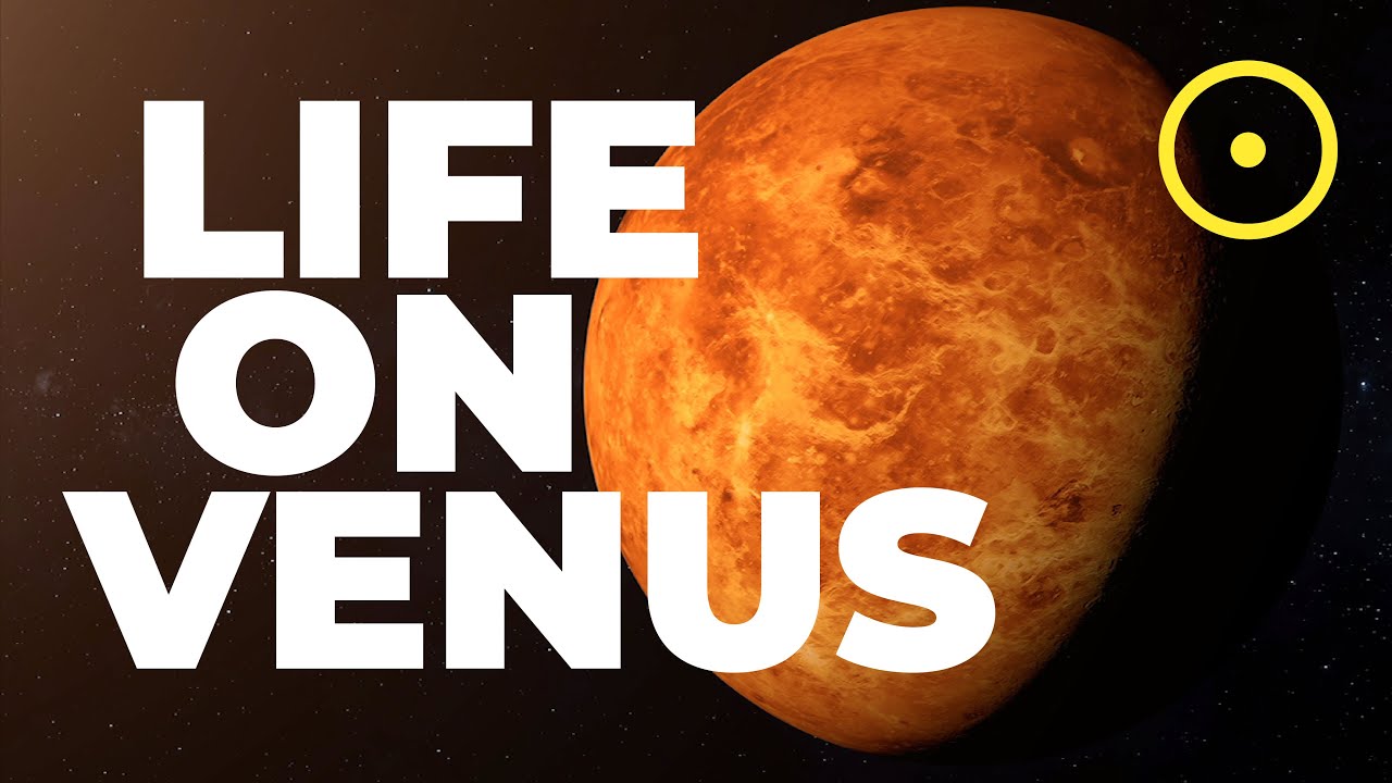 Did We Just Find Life on Venus?
