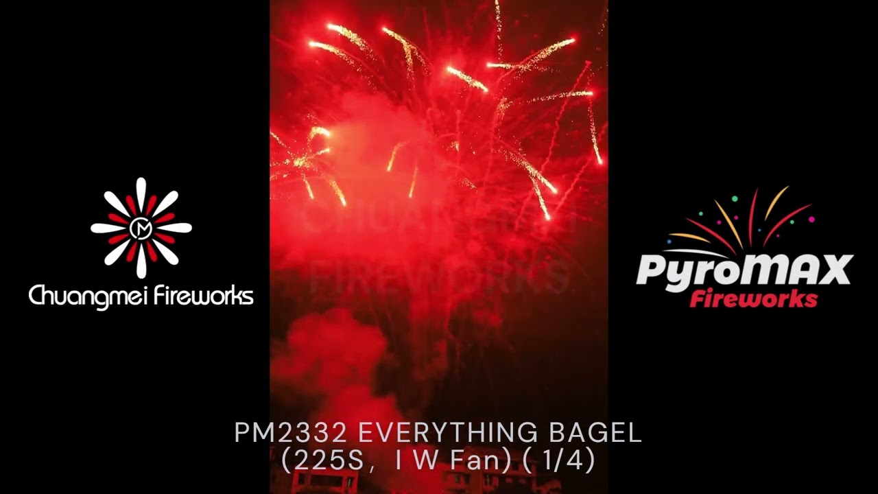 PM2332 EVERYTHING BAGEL