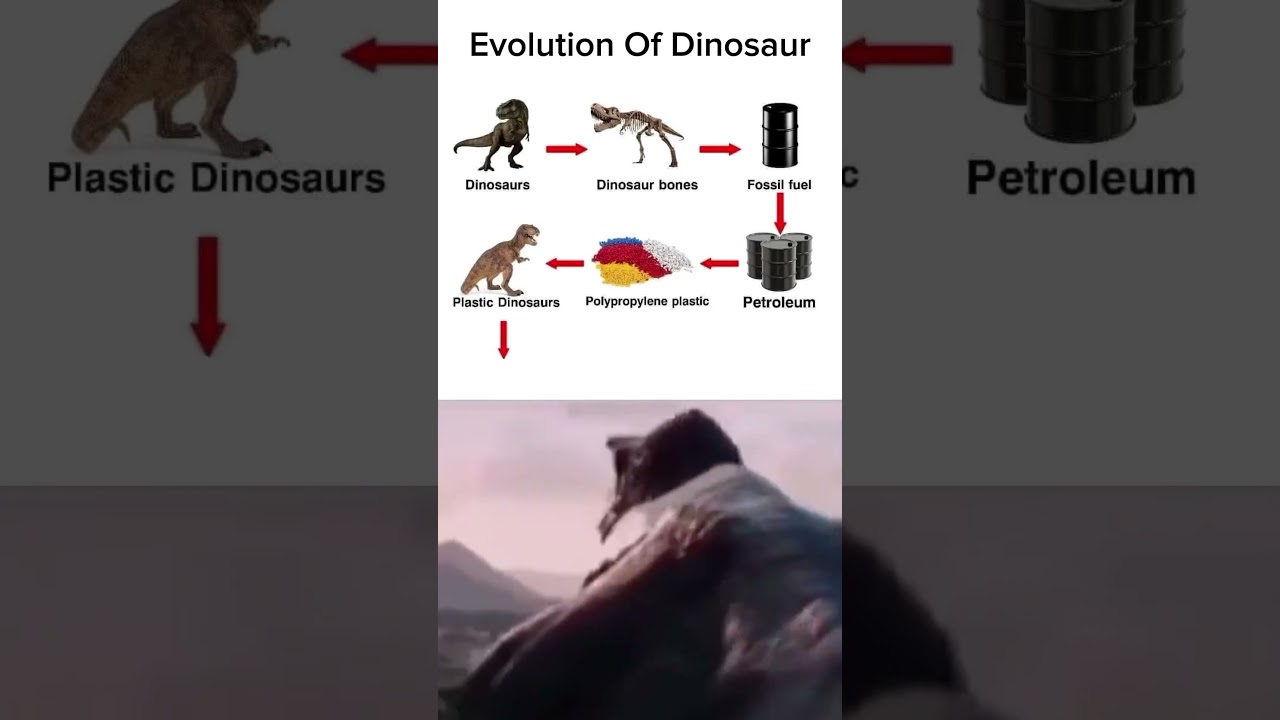 Evolution of Dinosaurs #memes