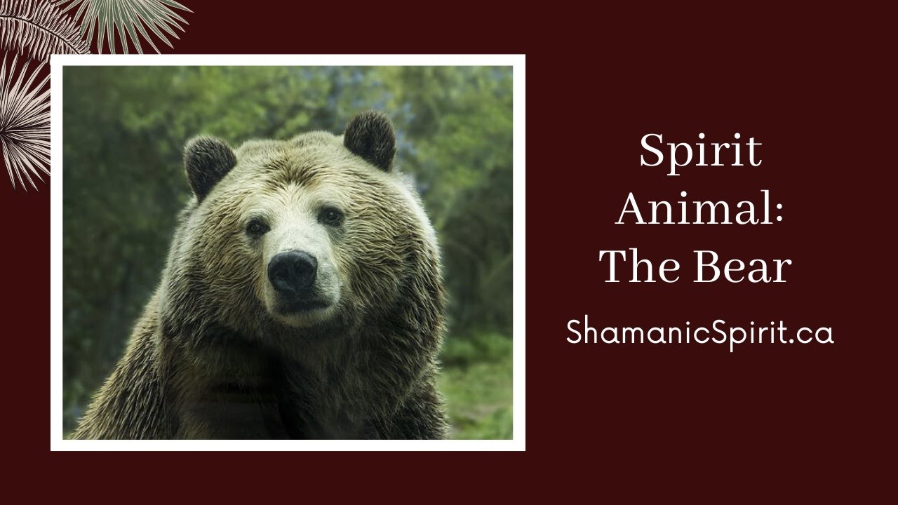 Animal Spirit Guide: The Bear (Shamanic Power Animal). Bear Symbolism