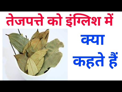 Tejpatta ko english me kya kahte hain|Bayleaf meaning in hindi|tejpatta ko english me kya kehte hain