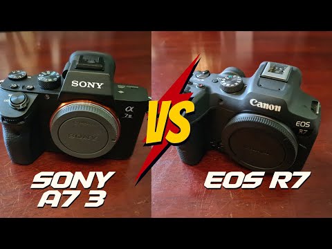 Canon EOS R7 Vs Sony A7 3 | Camera Comparison