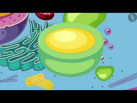 Cell Organelles Video Lecture - Crash Course for Grade 9
