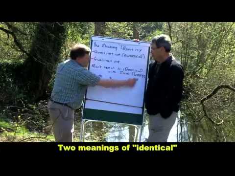 Two Meanings of Identical