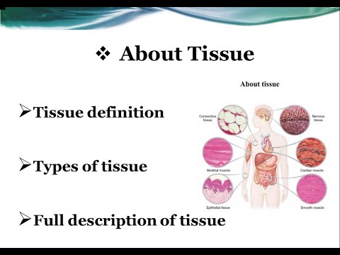 "About Tissue"//Tissue Definition//Types of Tissue//(Full details tissue)