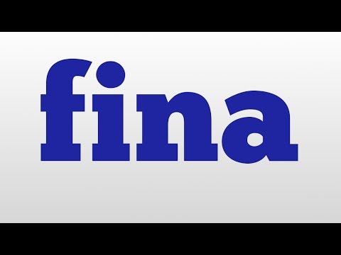 fina meaning and pronunciation