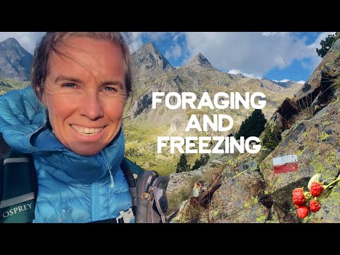 Long Distance Solo Hiking the Pyrenees | GR11 Thruhike Vlog