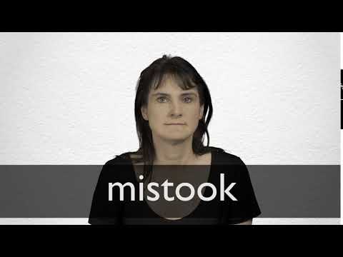 MISTOOK - Meaning & Translations | Collins English Dictionary