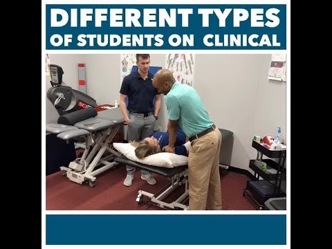 Top 5 Fridays! Different Types of PT Students on Clinicals | Sarah ...