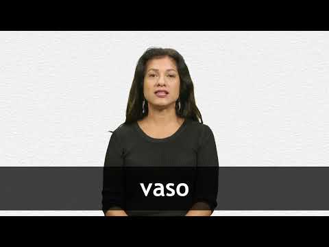 English Translation of “VASO” | Collins Spanish-English Dictionary