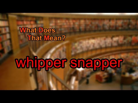 What does whipper snapper mean?