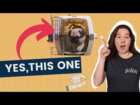 Crate Size for a Puppy Who Grows Fast