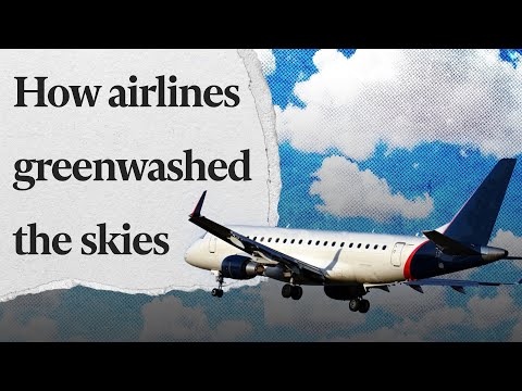 How airlines greenwash the skies | Behind The Headlines