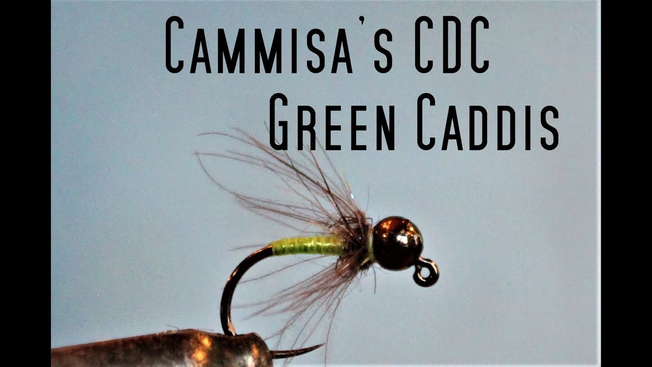 Fly Tying: Cammisa's CDC Green Caddis