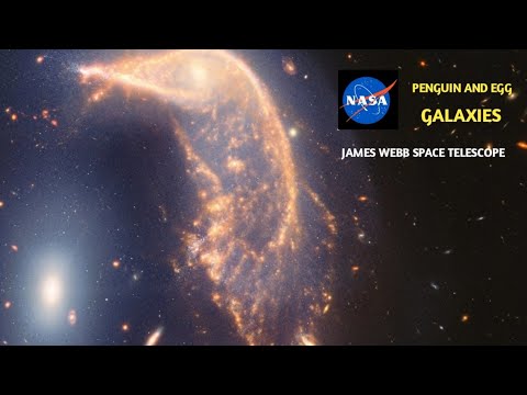 | PENGUIN AND EGG GALAXIES | James Webb Space Telescope Latest Image | NASA | Real NASA