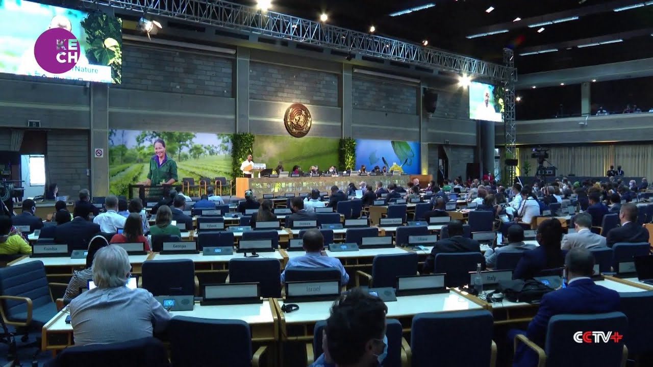 UN Environment Assembly endorses resolution to end plastic pollution