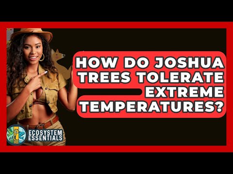 How Do Joshua Trees Tolerate Extreme Temperatures? - Ecosystem Essentials