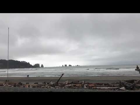La push whales