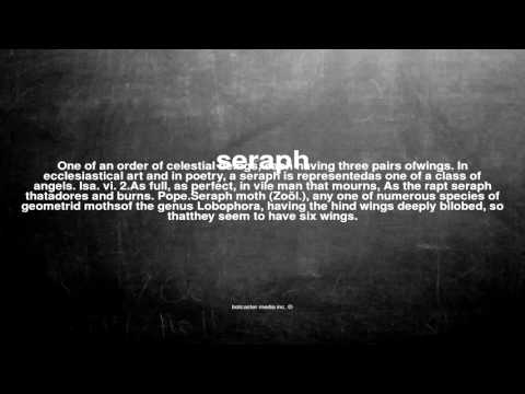 What does seraph mean