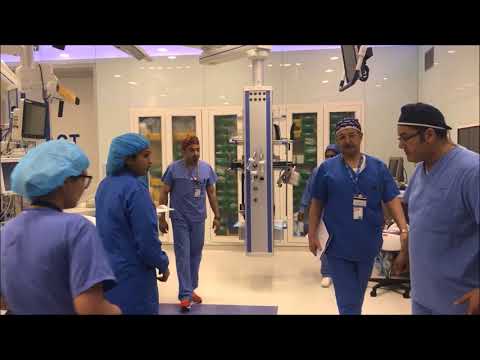 Dr. Hanan – Nicholas Harres