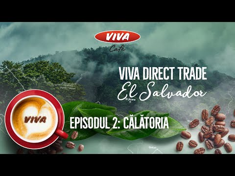 OMV | VIVA Direct Trade El Salvador | Episodul 2 - Călătoria cafelei