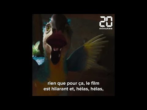 « Dodo », film palmé avant l'heure, défraie la chronique