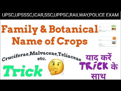 Family Botanical Name of Crops | Amazing Trick | рдХрднреА рднреВрд▓ рдирд╣реАрдВ рдкрд╛рдУрдЧреЗ | #142 | Agriculture