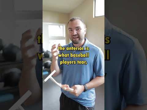 Dr. Explains UCL and Tommy John Injuries #shorts #baseball #pitching