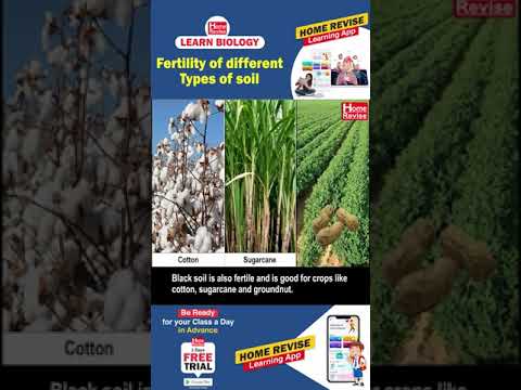 Fertility of different types of soil