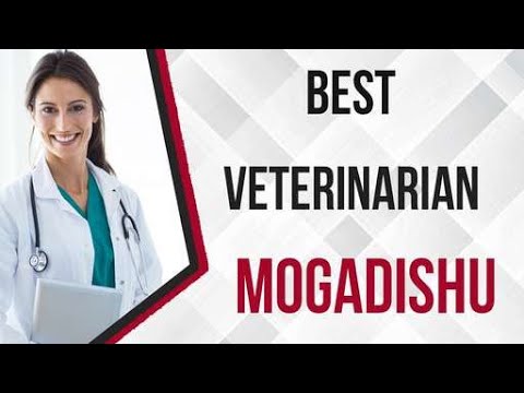 Veterinarian in Mogadishu, Somalia