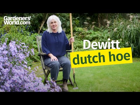 Dewitt Dutch hoe review - BBC Gardeners' World Magazine