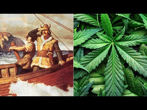 Marijuana From Ancient History To Now