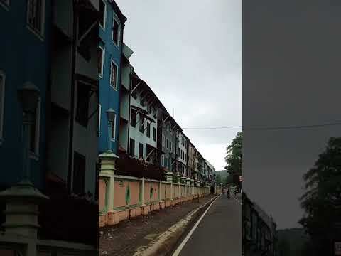 Lippo Carita