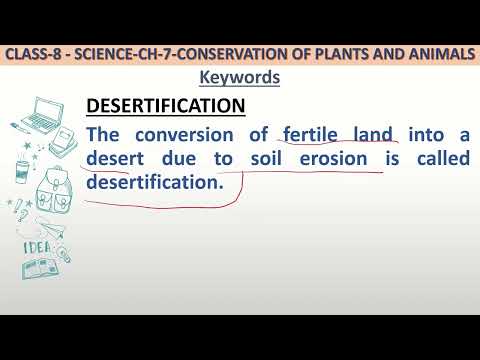 Definition of Desertification for class 8 science.