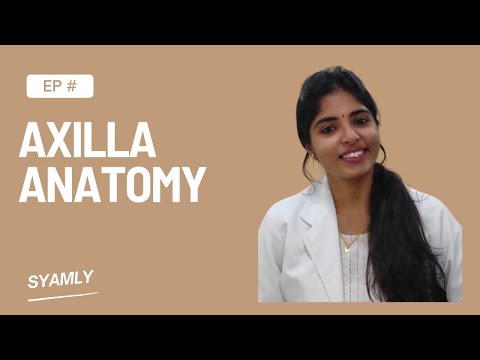 Unveiling the Secrets of Axilla Anatomy: What You Need to Know!