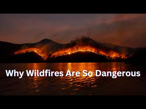 The Secret Behind Wildfires...