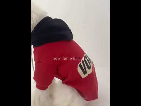 Small Dog Clothes Cute Blank Puppy Shirts #doglover #dogclothing #dogclothes