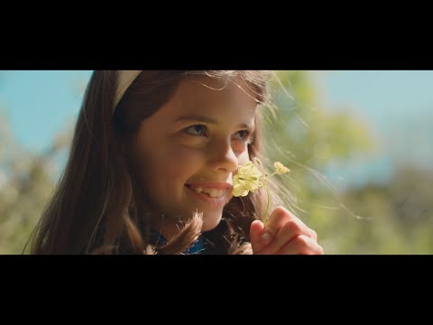 Sharing School — Sharing for a Brighter Future