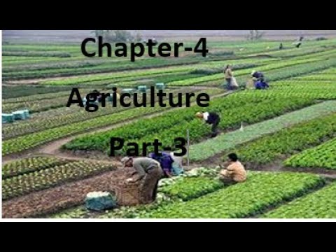 DIFFERENCES BETWEEN INTENSIVE SUBSISTENCE FARMING AND PRIMITIVE SUBSISTENCE FARMING