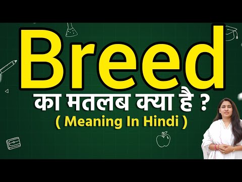 Breed meaning in hindi | Breed ka matlab kya hota hai | Word meaning