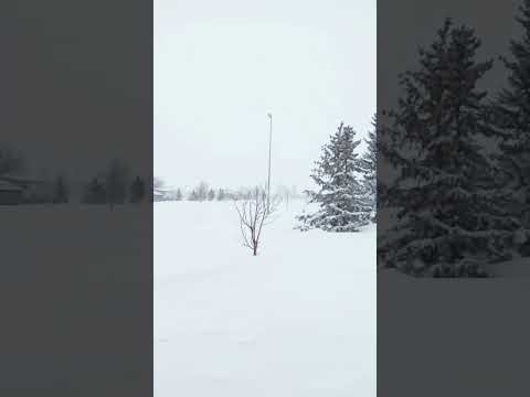 The Storm Continues...Fargo ND
