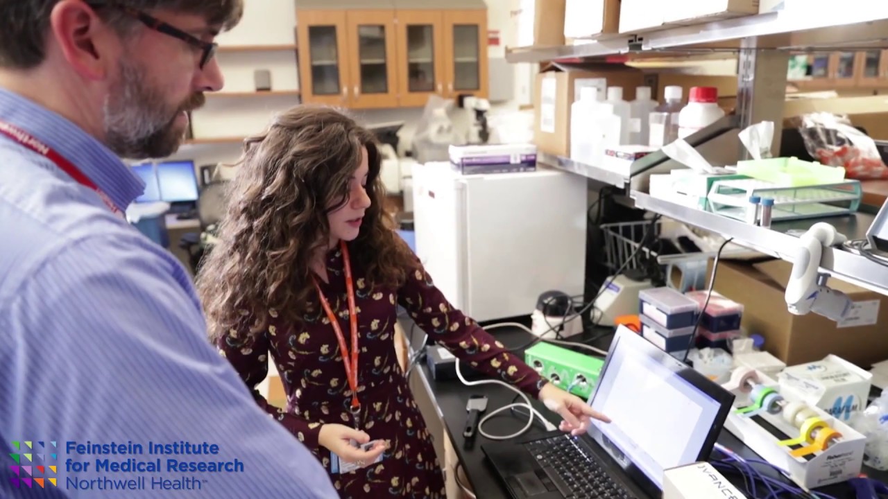 Summer Intern Program