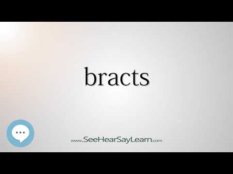 bracts