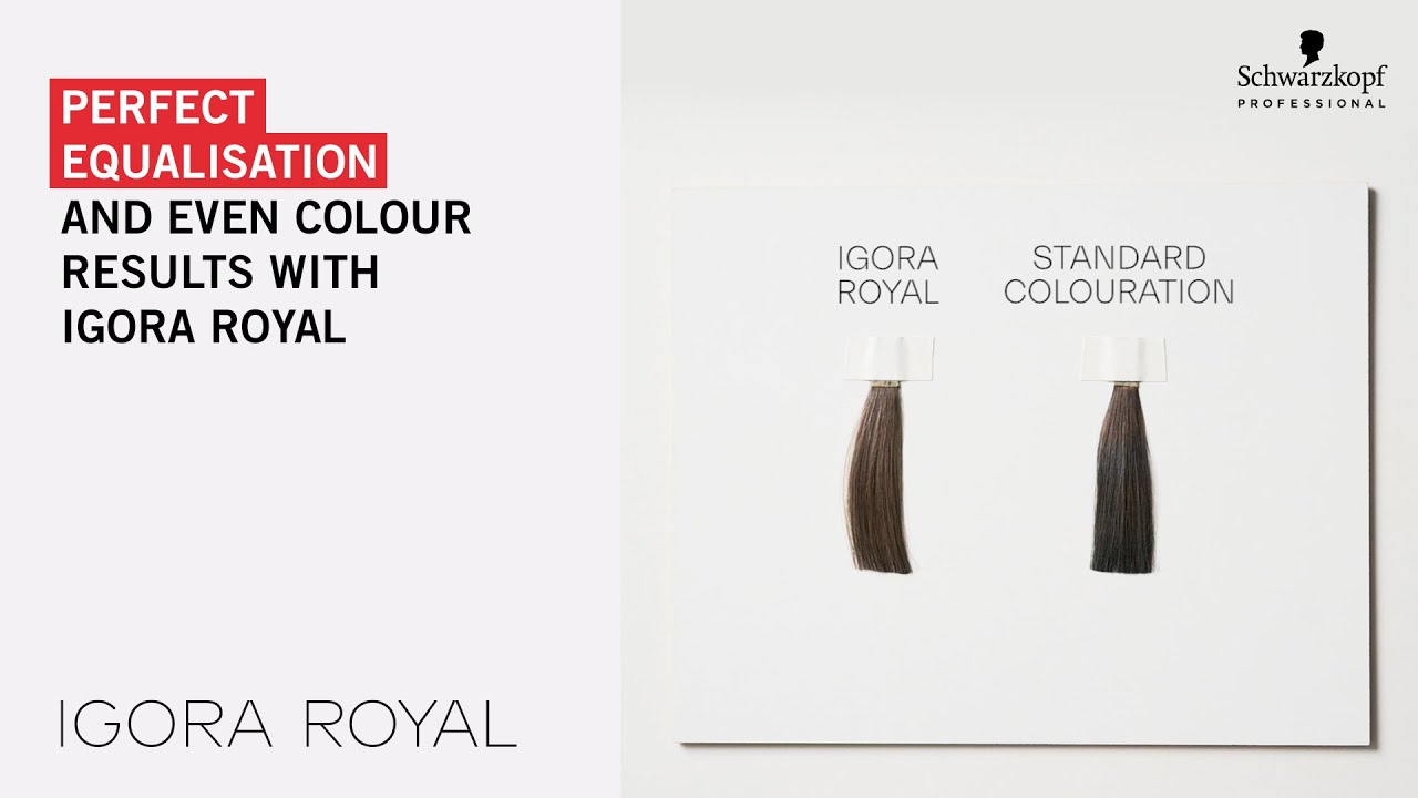 Perfect equalisation and even colour results with IGORA ROYAL
