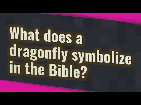 What does a dragonfly symbolize in the Bible?