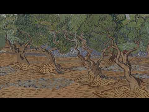7-Minute Meditation: Vincent van Gogh's Olive Grove - Van Gogh Museum