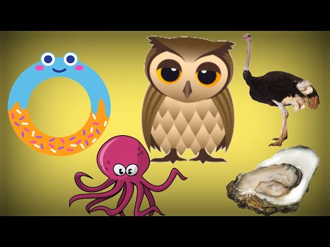 Words That Start With O | O For Orange 🍊 O For Owl 🦉 | Popi's Pre School |